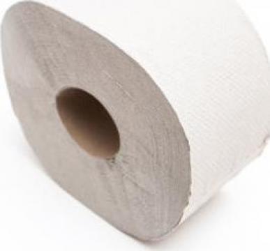 Toilet paper mini-jumbo 1 layer, waste paper, 100m,... - Sell and buy ...